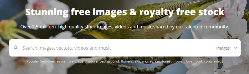 Image SEO: 10 Tips to Optimize Images for Search Engines - TechZant